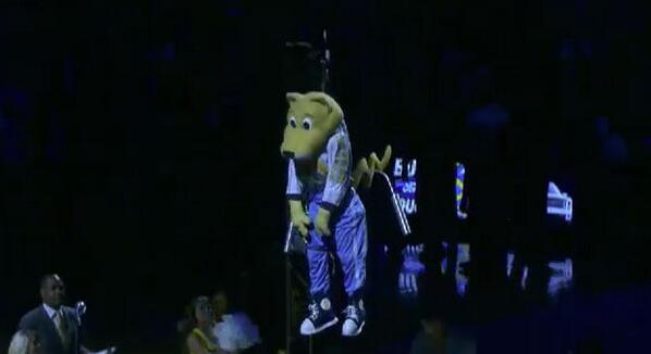 Rocky The Denver Nuggets Mascot Passed Out While Being Lowered To The