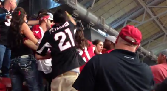 NFL Fans get violent in the stands [Video] - Jocks And Stiletto Jill